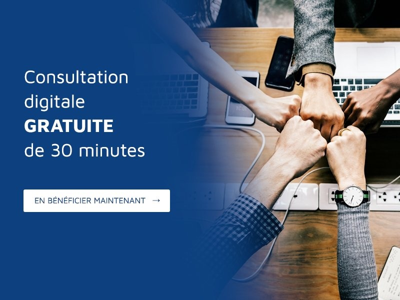 Le digital learning : la digitalisation pour les organismes de ...